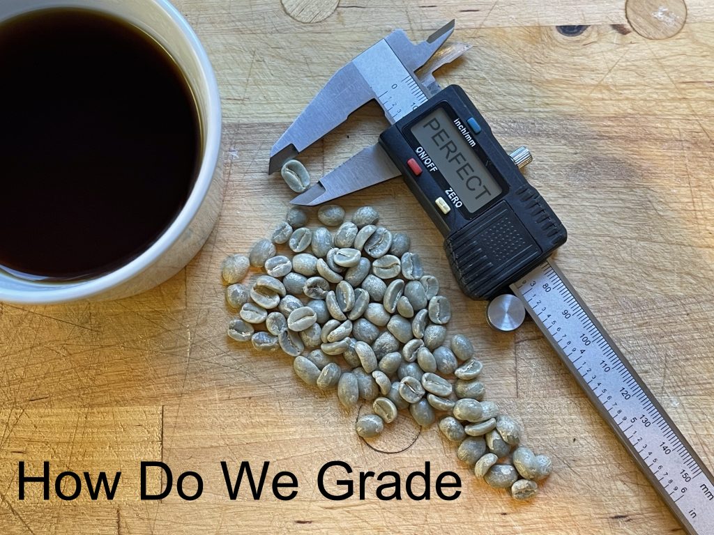 How We Grade Coffee | Best Ethiopian Coffee | Premium Coffee Beans